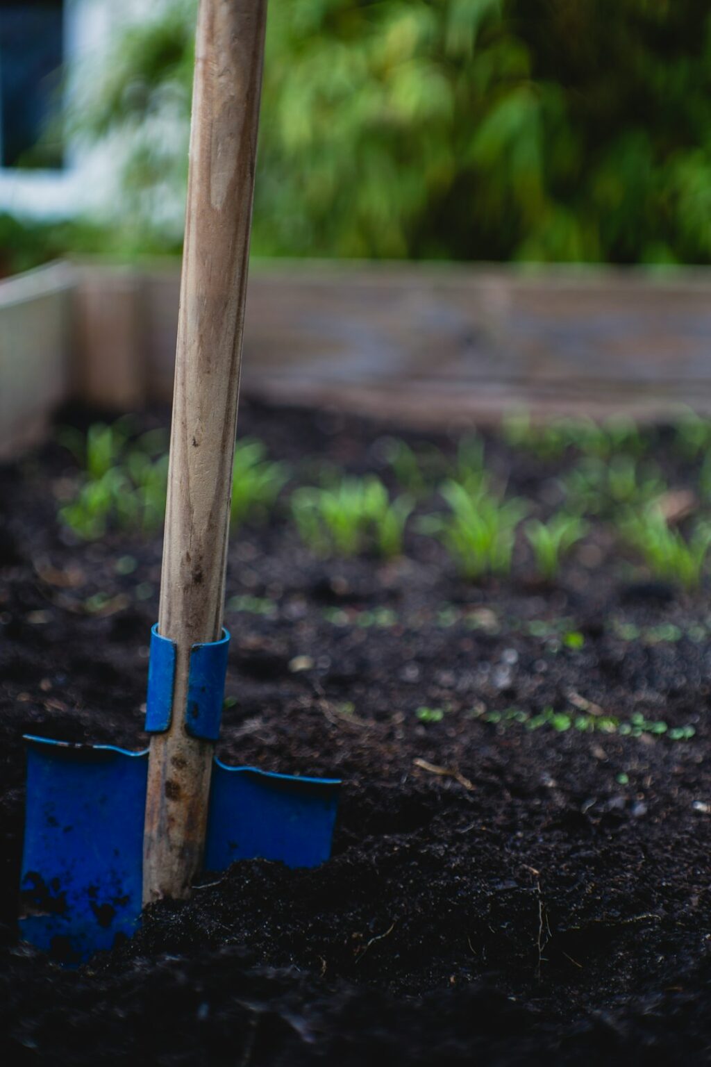 10 Steps to Creating an Irresistible Community Garden Project Proposal ...