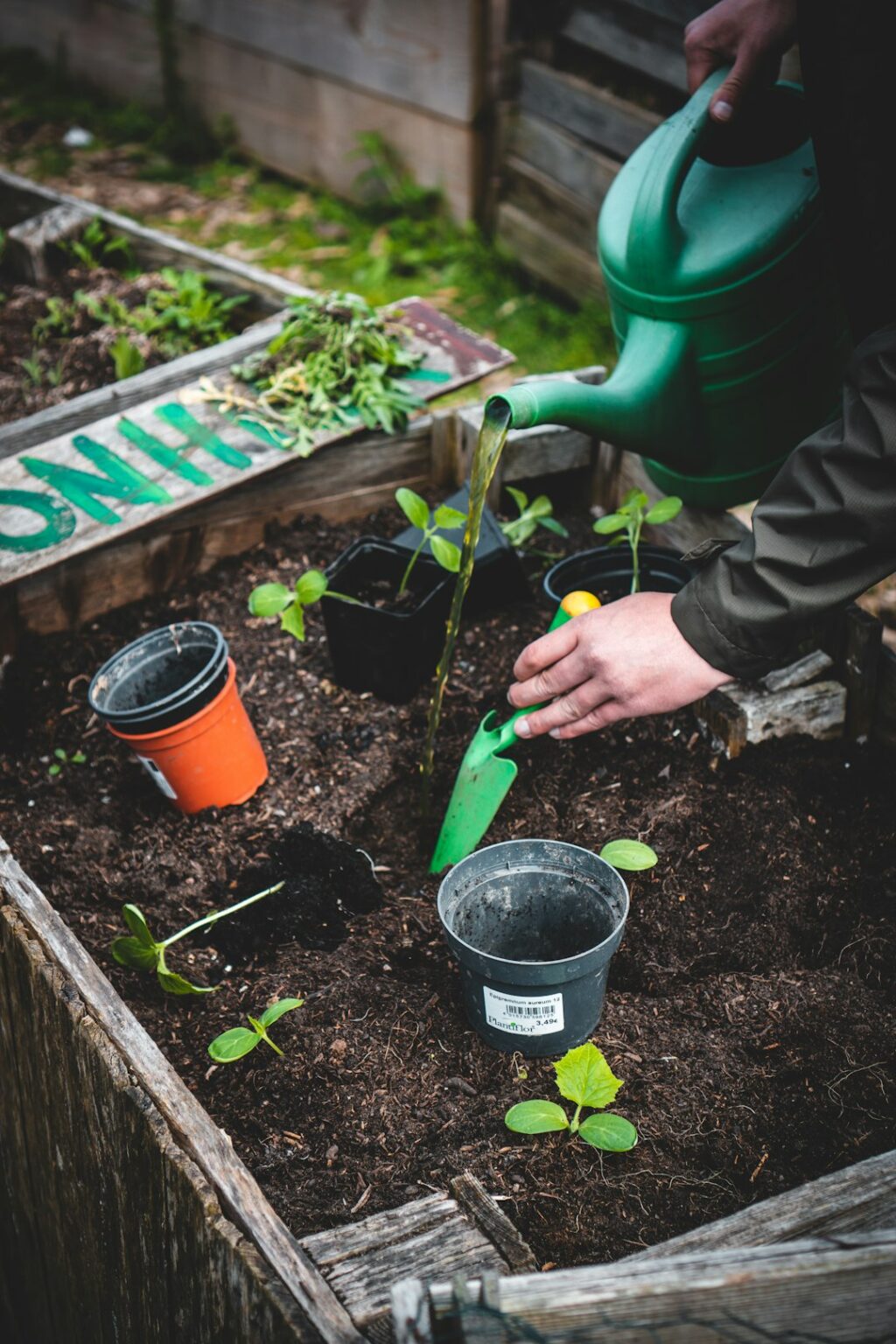 How Can We Keep Community Gardens Sustainable? 10 Essential Practices ...